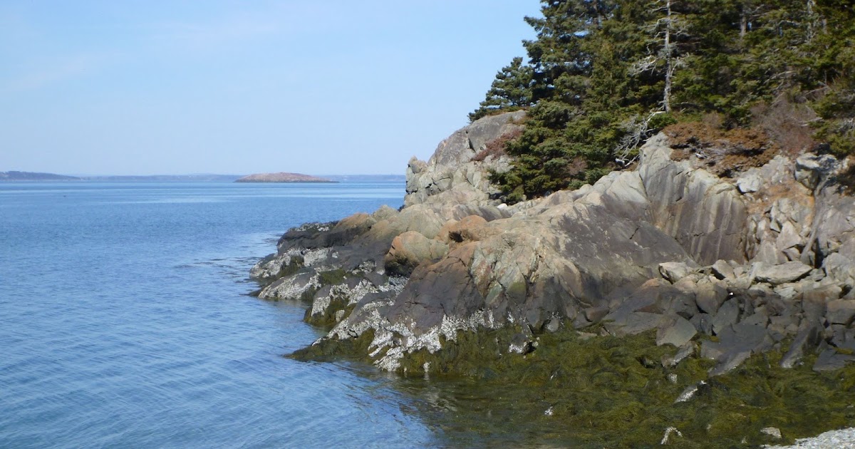 Sea Kayak Stonington: Butter and Great Spruce Head Islands