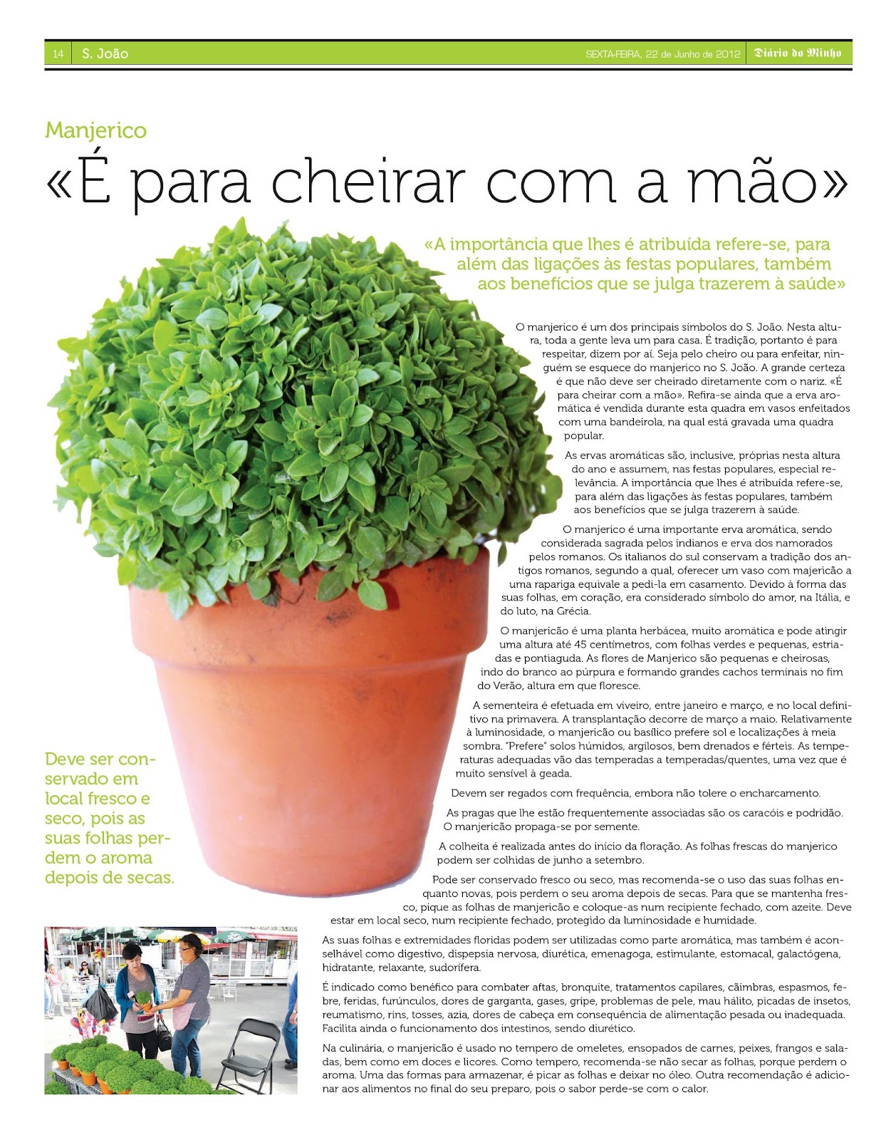 JovemCoop: S.João - o Manjerico