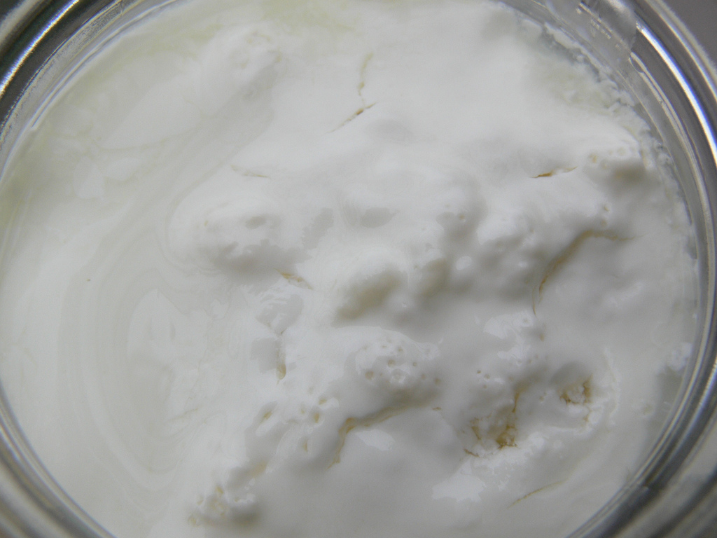 Homestead Revival: Six Reasons To Culture Dairy Products