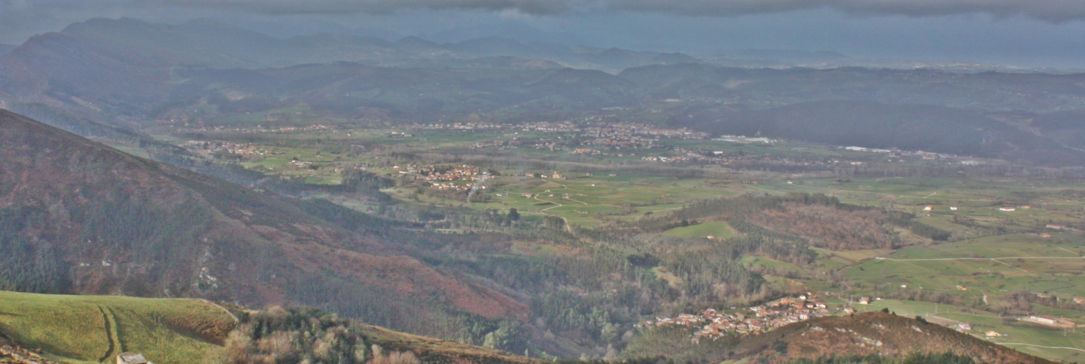 por las tierras de corocota: Palo de Ibio /12-02-2011/