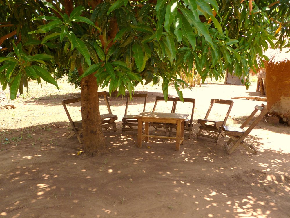 Into All The World: Under the Shade of a Mango Tree