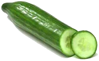 ÇılgınÖmerYazıYazıyor