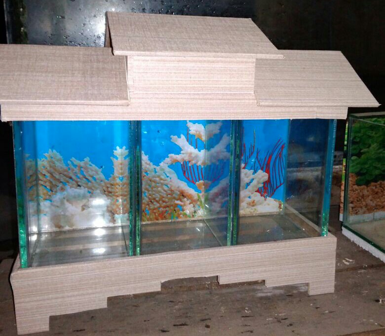 Hani Aquarium Toko Ikan Hias Dan Perlengkapan Akuarium Di Bintara ...