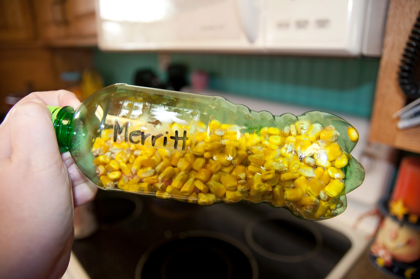 Corn Shaker! - the farmer and the southern belle