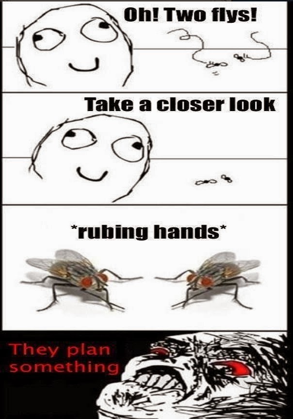 Flies Planning and Rubbing hands
