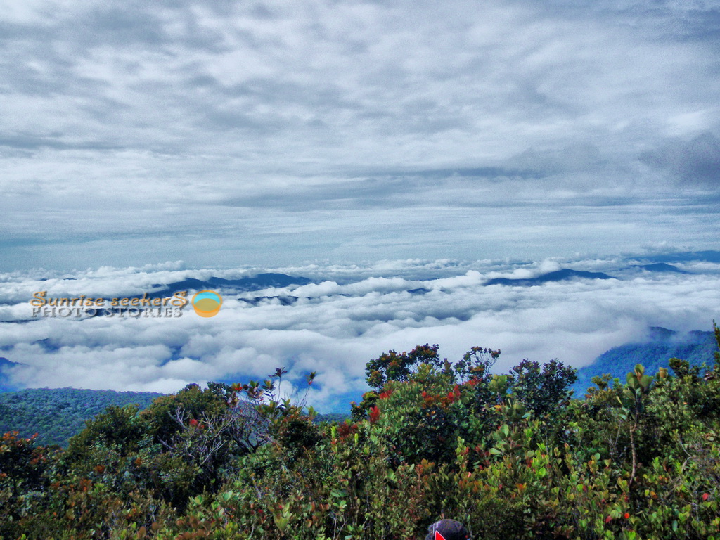 Lonely Jungle of Malaysia ( and Asia ): A Pilgrimage to Mt Murud - the ...