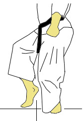 Atemi Karate-Do: Posiciones elementales