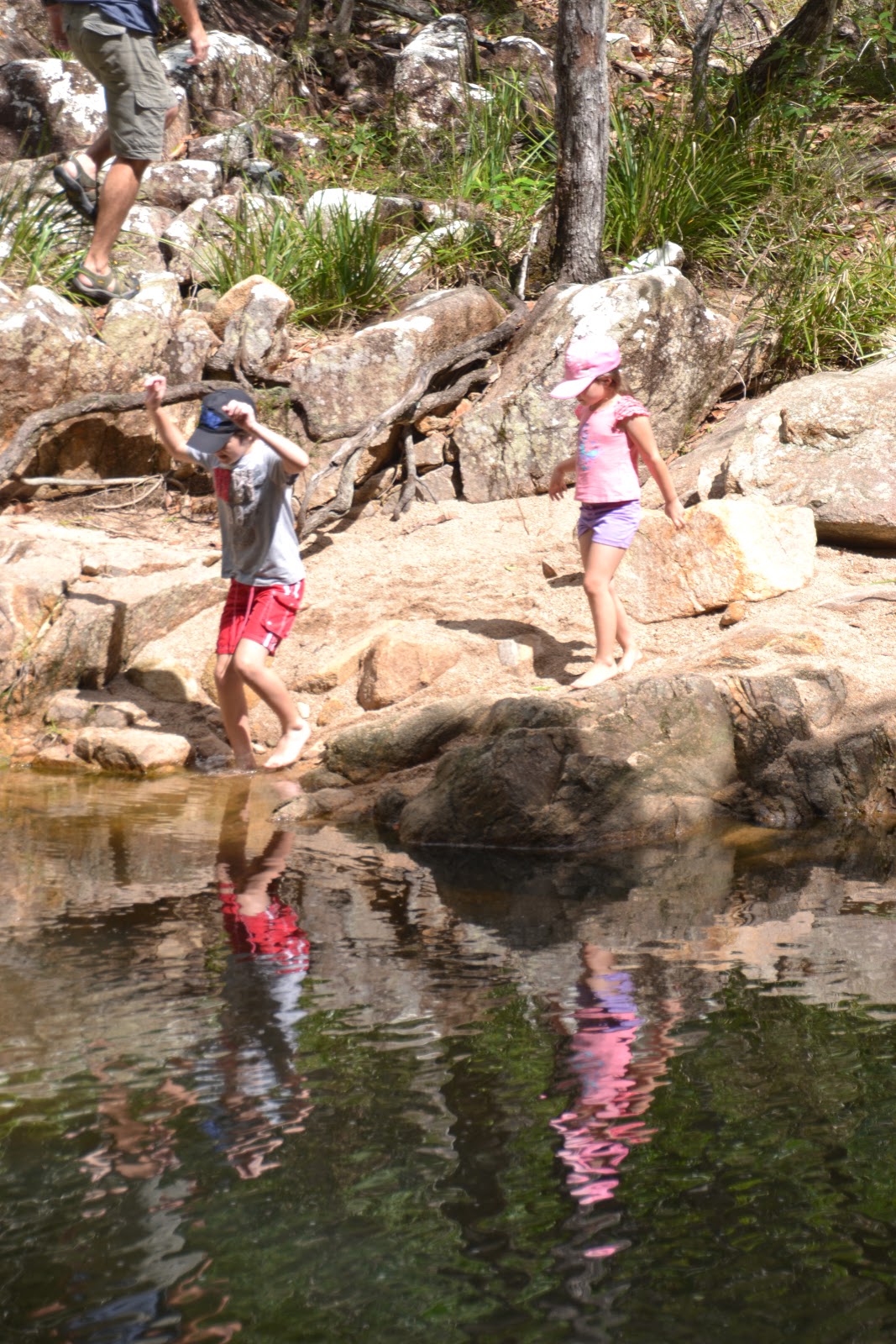 Life & Times: Mothar Mountain Rock Pools at Woondum National Park