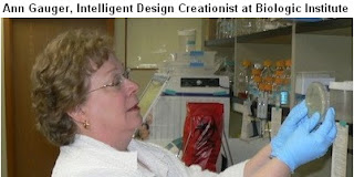 Sandwalk: Pyruvate dehydrogenase astonishes Ann Gauger