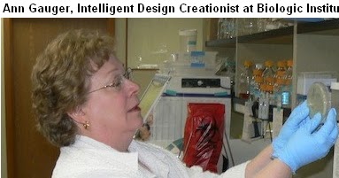 Sandwalk: Pyruvate dehydrogenase astonishes Ann Gauger