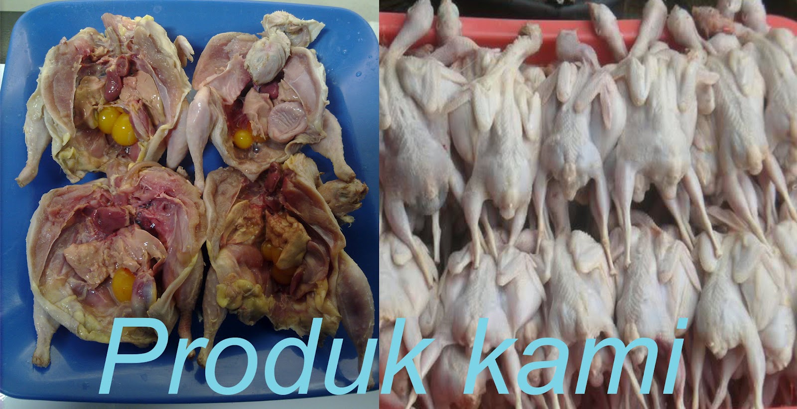 Suppliyer Daging Puyuh Di Malang