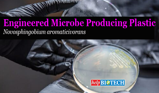 Engineered Microbe Producing Plastic | New Discovery