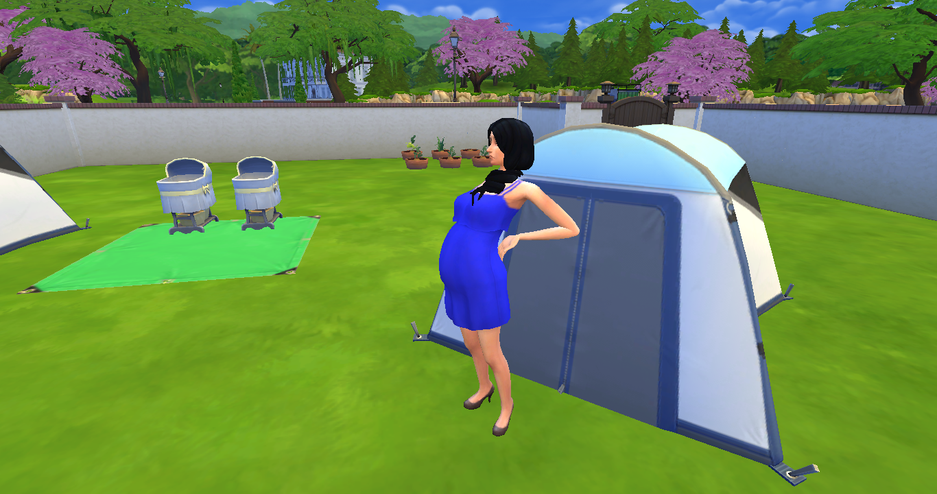 The Challenge Simmer: The Sims 4 Apocalypse Challenge:Day 3