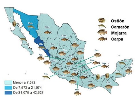 Nyfiken Geográfico: PESCA EN MÉXICO