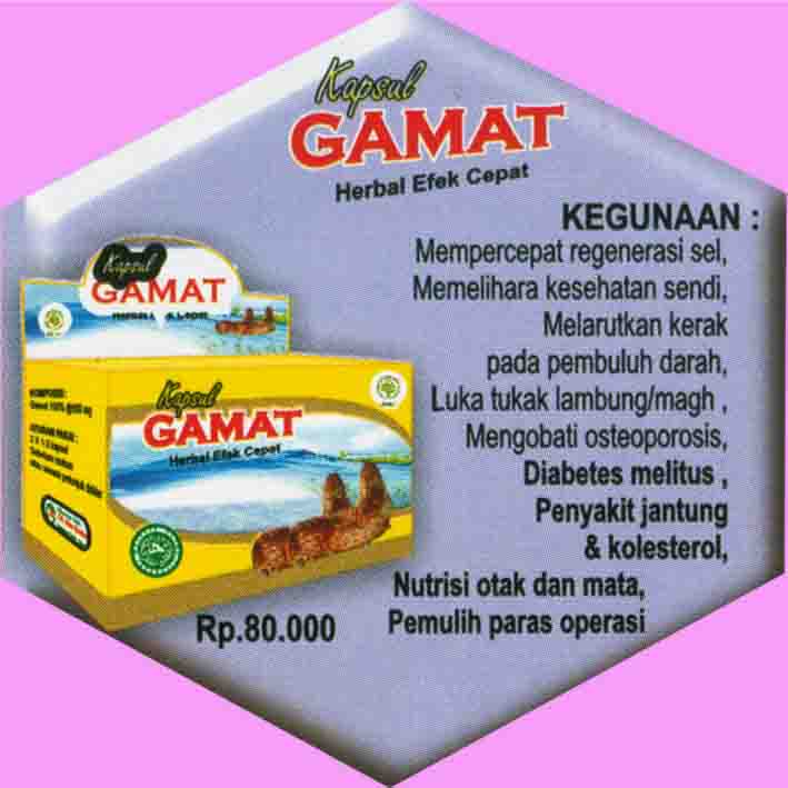 OBAT HERBAL A IMAN: GAMAT ( 10 )