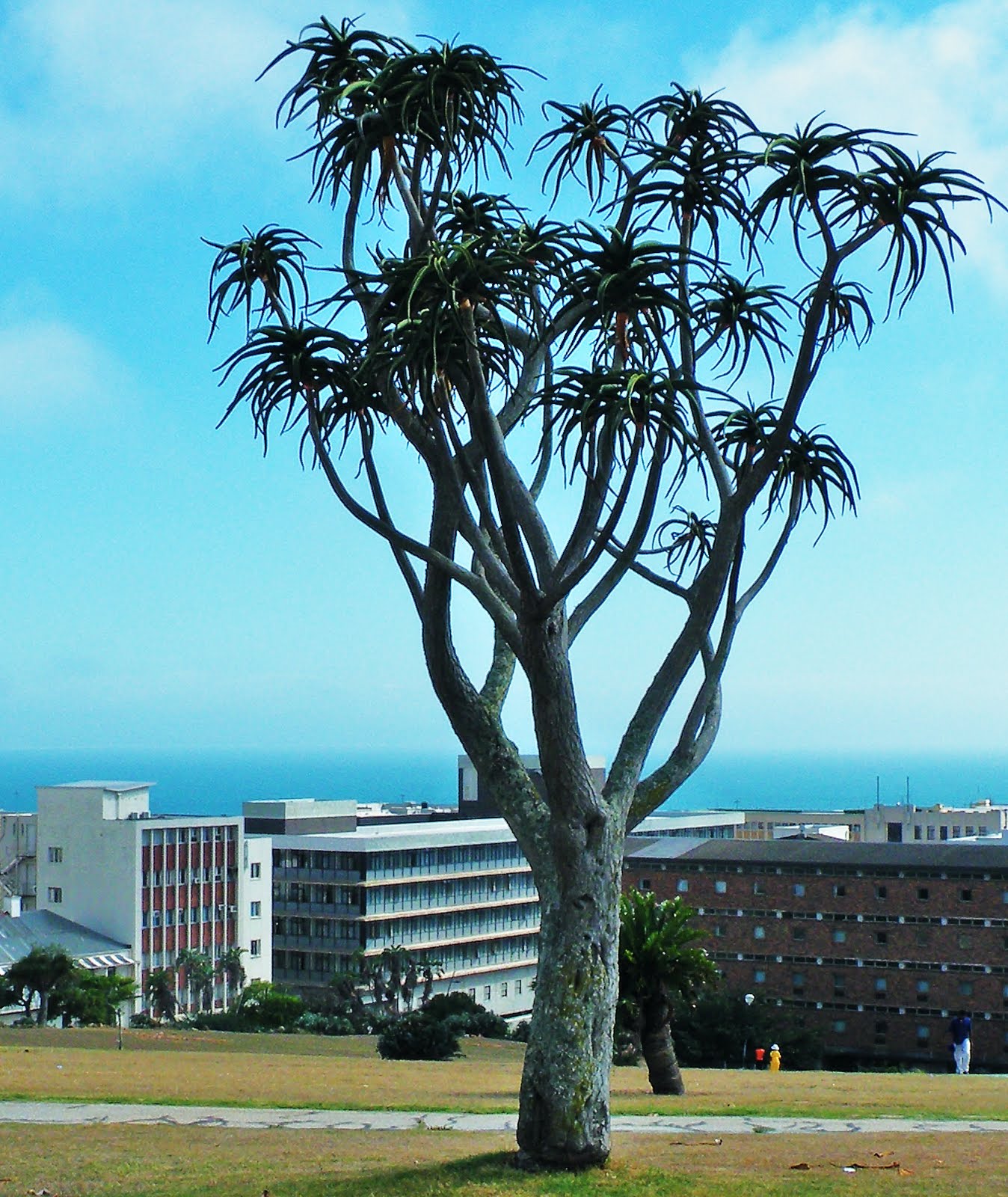 Go with Henry: Eastern Cape tour highlights