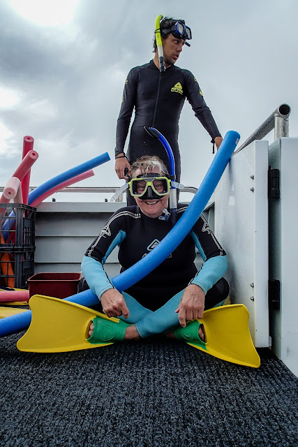 How you emergency?: vaal! hai! vaalhai!