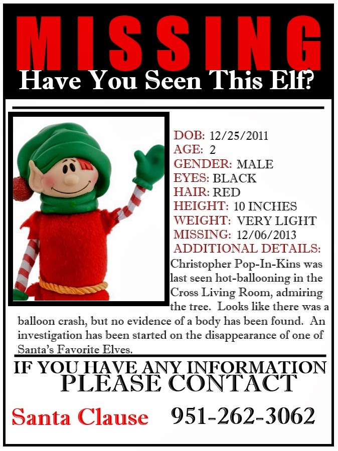 Crazy Shenanigans of Christopher Pop-In-Kins: December 6th. MISSING ELF ...