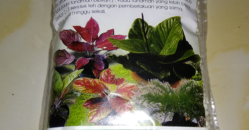 Pupuk khusus daun / pupuk daun - Ayo-Berkebun