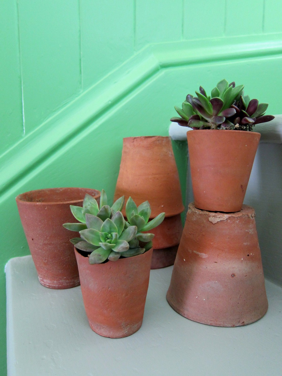 Chronica Domus: A Clay Pot Story