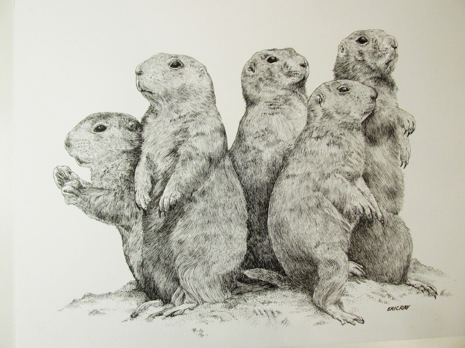 Creating Pen and Ink Artwork: Building a Prairie Dog family