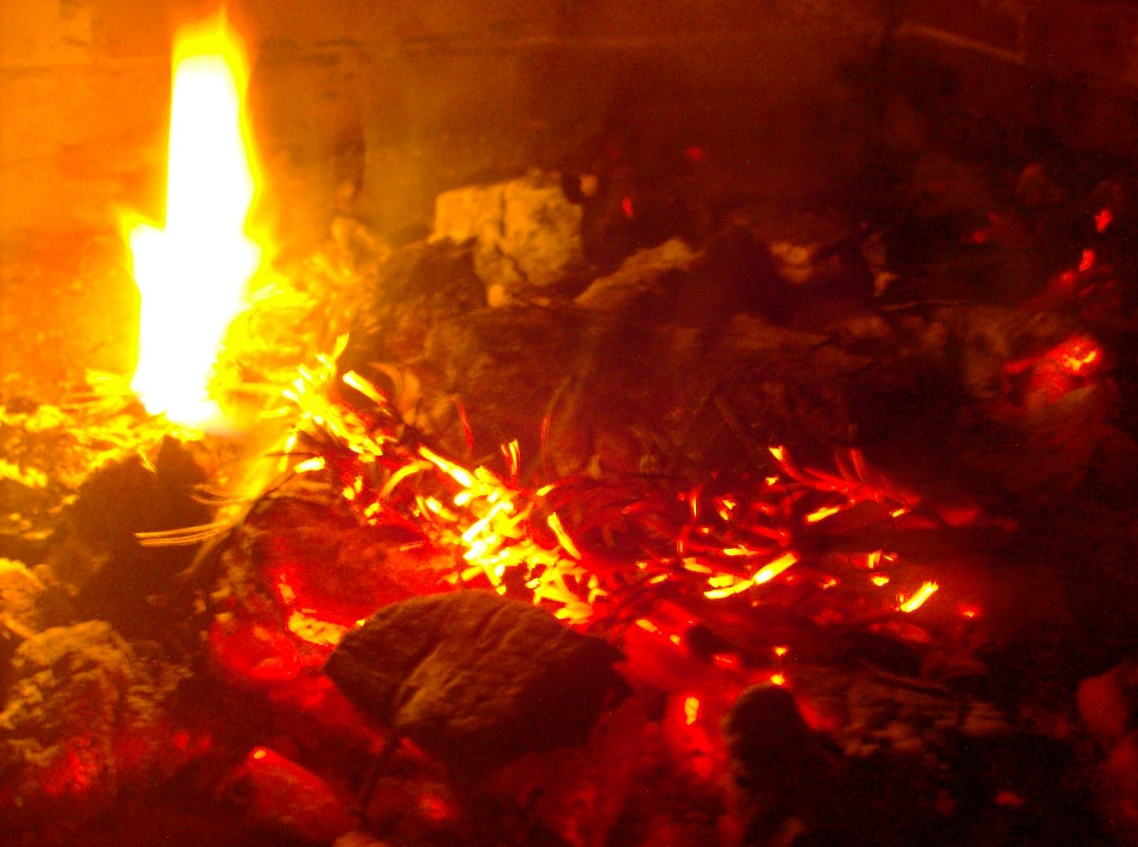 NATURALEZA INMENSA: Elemento: Fuego