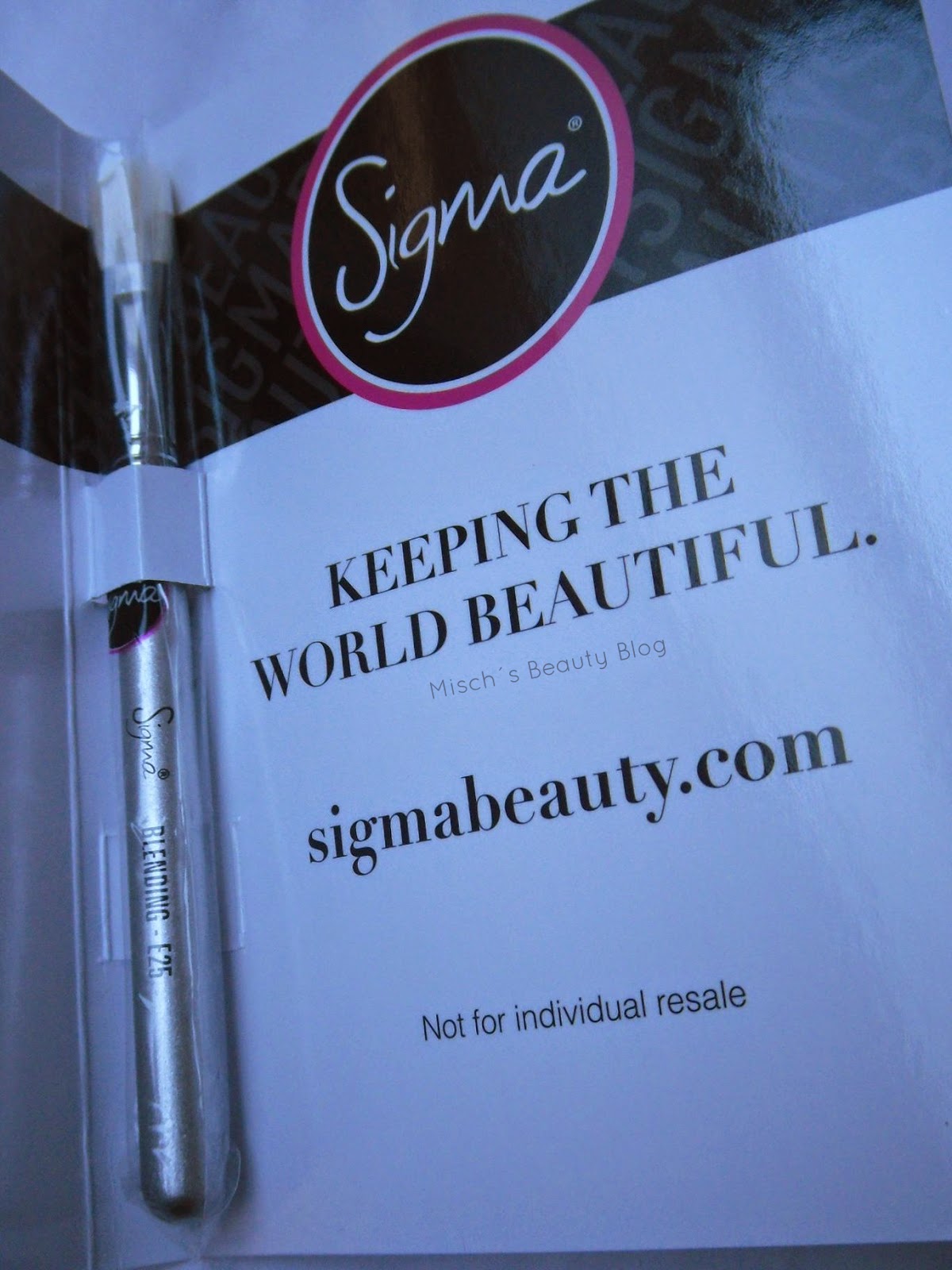 Misch's Beauty Blog: New Sigma Brushes! E30 and F40