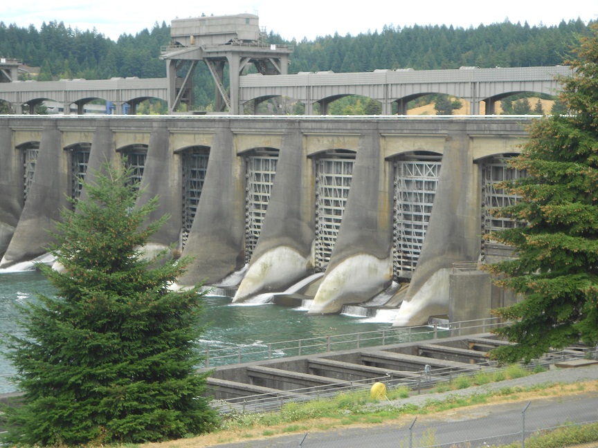 Bonneville Dam | Western Trips