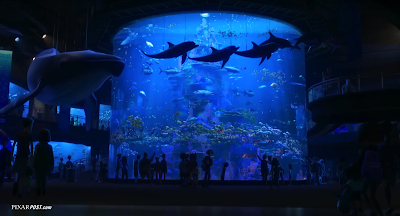 'Finding Dory' First International Trailer Showcases New Story Elements ...