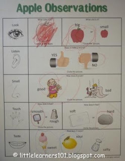 Little Learners: Apples