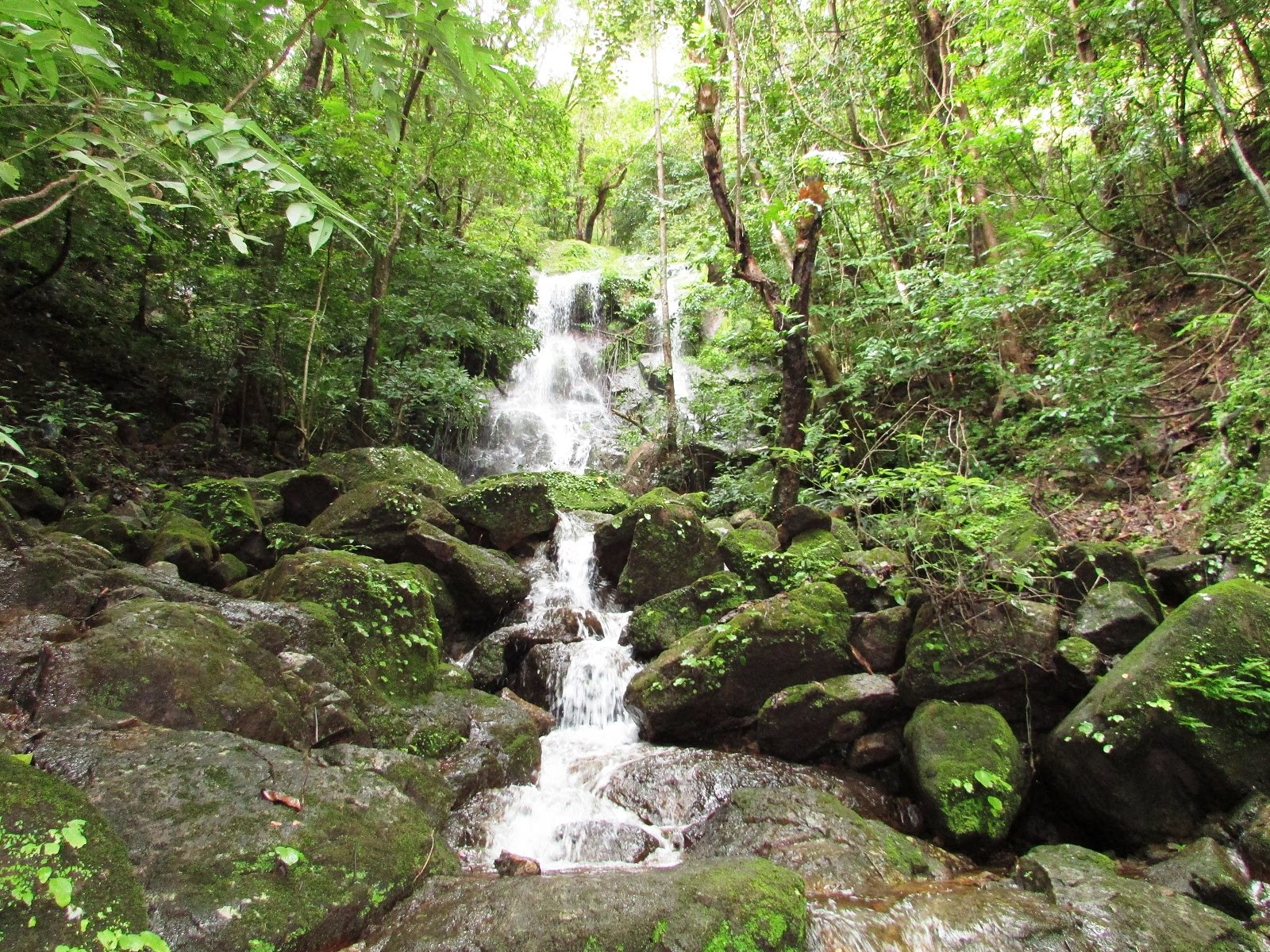 SEJARAH DAN OBYEK WISATA KABUPATEN PANGKEP