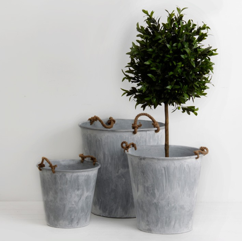 Roses and Rust: Monday Musings - Perfect Potted Plants