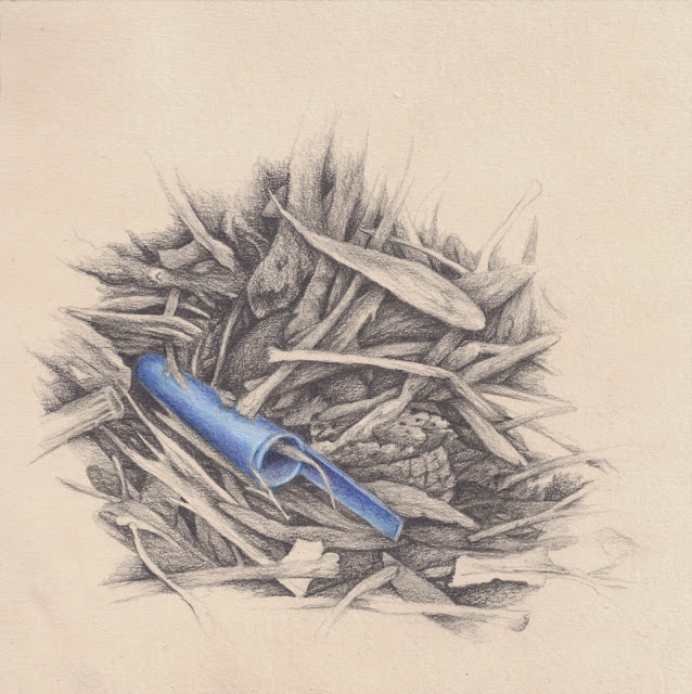 One of a Kind Commissions: Litter Drawings