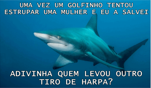 G1 meme: Saga meme: Misunderstood Shark - O tubarão incompreendido