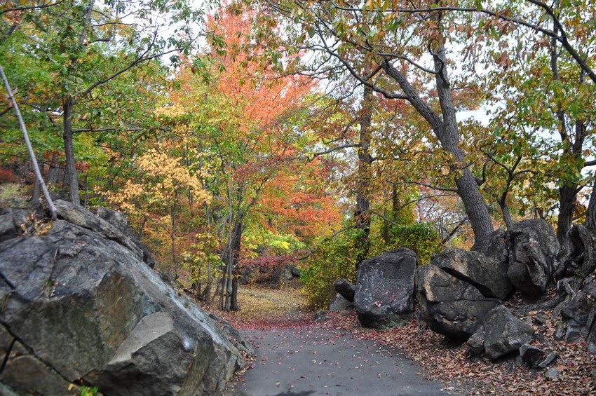 Harriman Hiker: Harriman State Park and Beyond: Bear Mountain Zoo to Ft ...