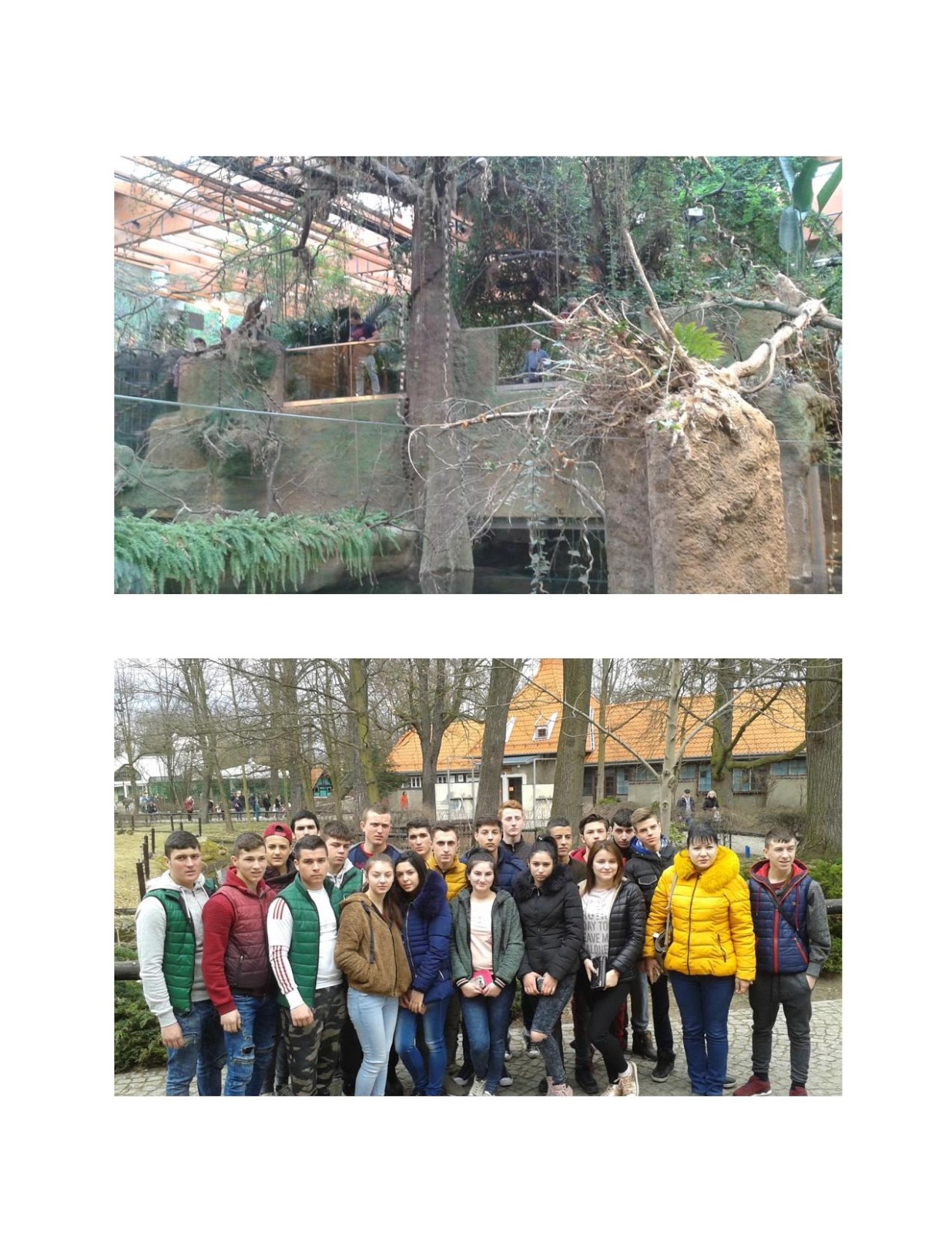 Liceul Tehnologic "Costache Conachi" localitatea Pechea, Județul Galaţi