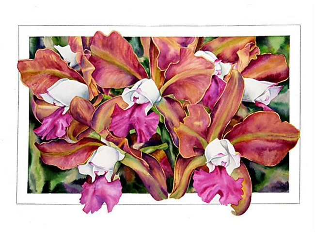 Коллекция картинок: Sally Robertson, акварель