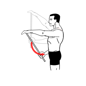 New Shoulder Exercises in PT-Helper | PT-Helper