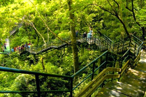 Thenmala Ecotourism, Ecotourism Thenmala Kerala, Ecotourism India,Eco ...