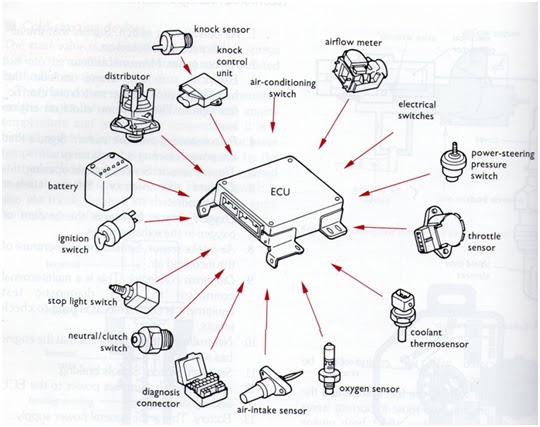 Josh Williams Fuels Blog: Sensors In Relation to the ECU
