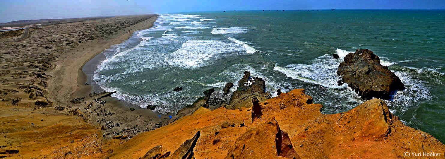 Aprende y seras grande