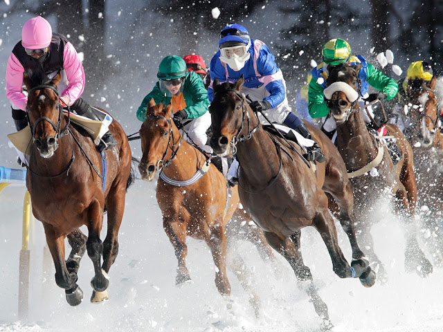 Passion For Luxury : White Turf the ultimate horesepower on snow