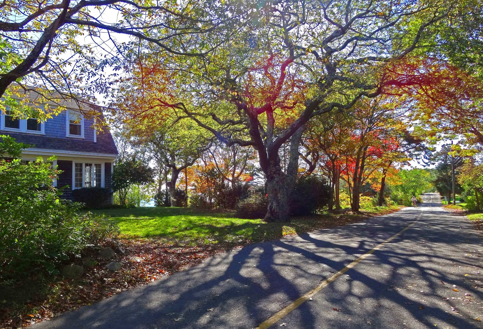 Joe's Retirement Blog: Walking Around, Manomet, Plymouth, Massachusetts ...