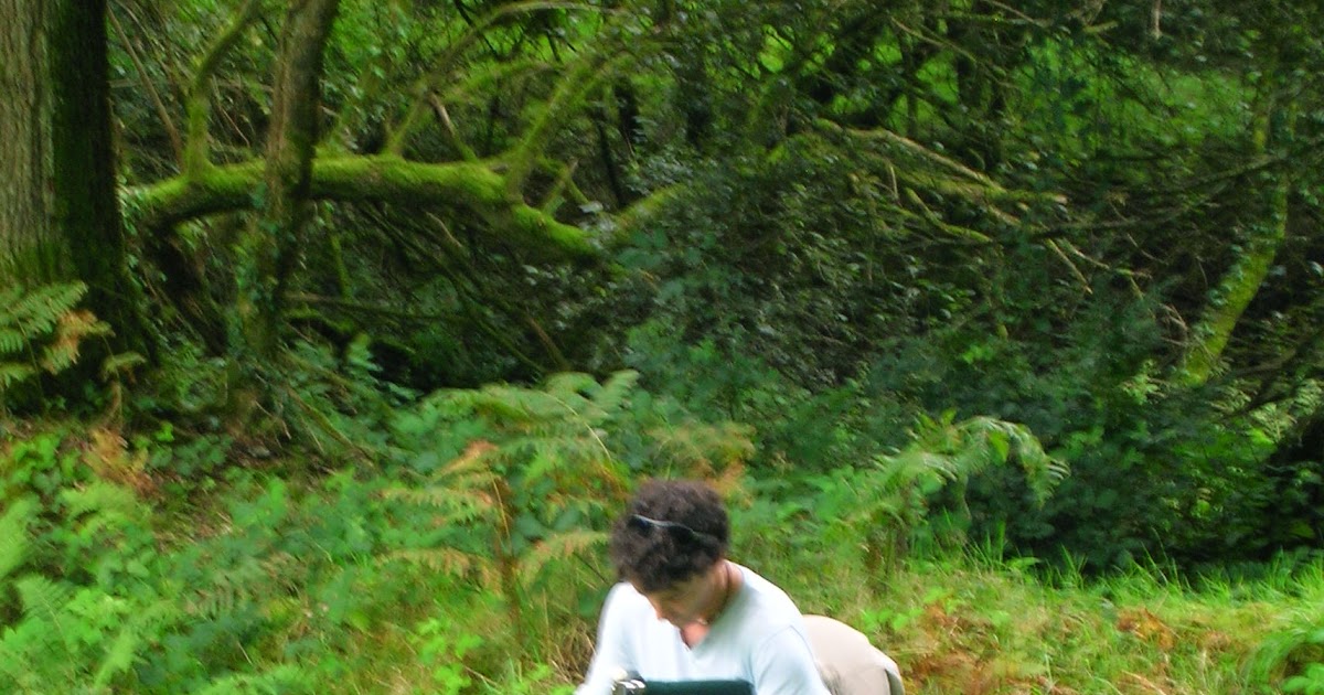 Rosquelfen: Festival Fisel