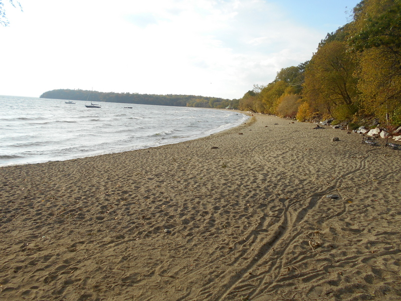 anniebikes: Coffeeneuring 2017 - Second Cup at Texaco Beach