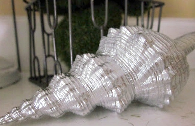 Crafting with Shiny Sea Shells