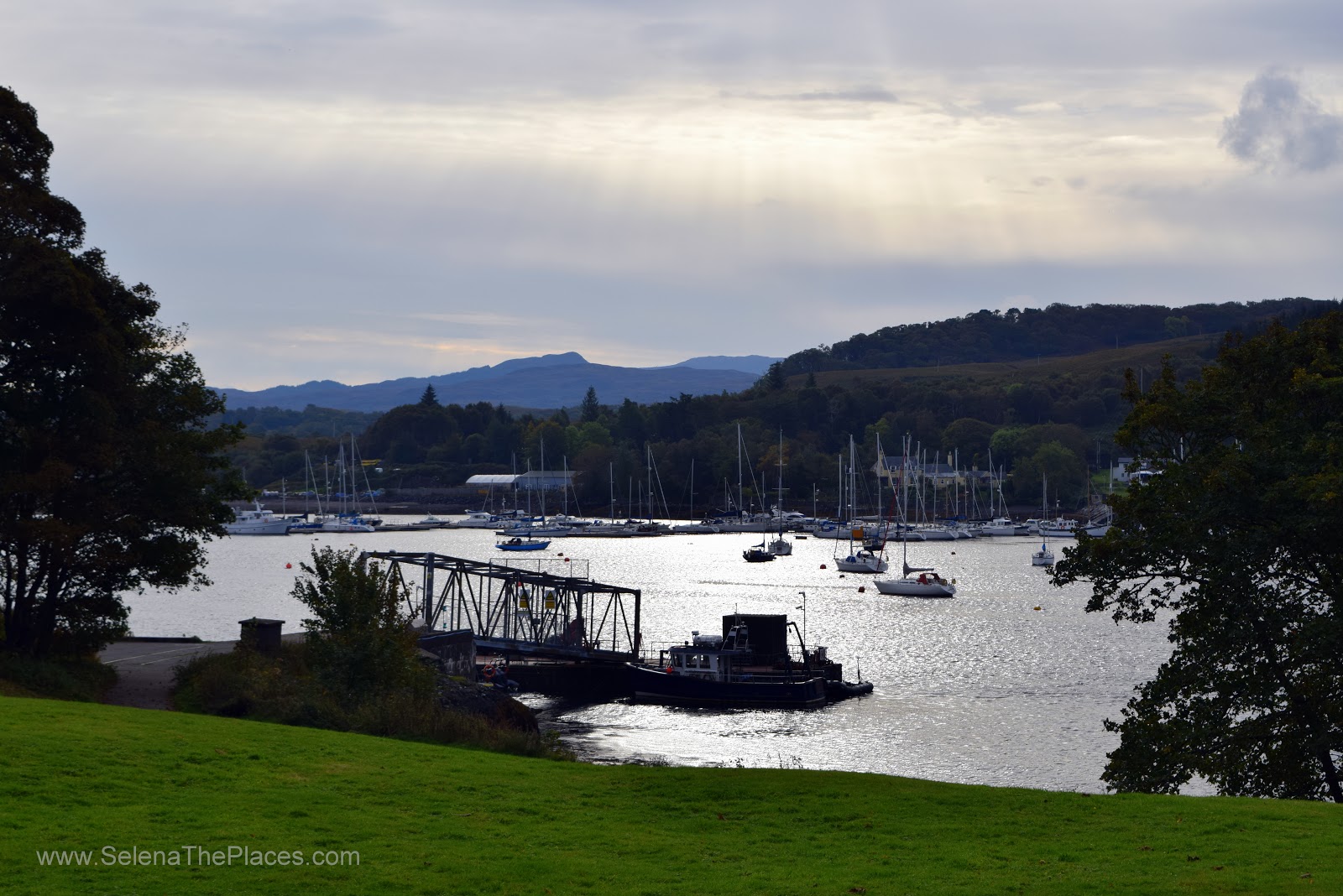 Oh, the places we will go!: A Coo & a Castle in Oban, Scotland