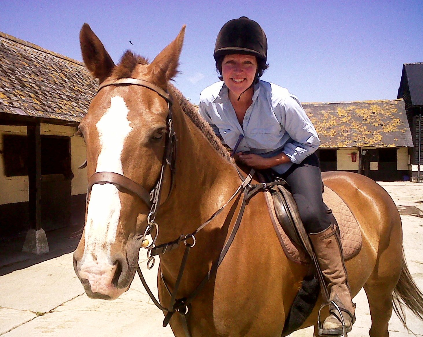 Julie Satchell : Gardener & Artist: About Julie