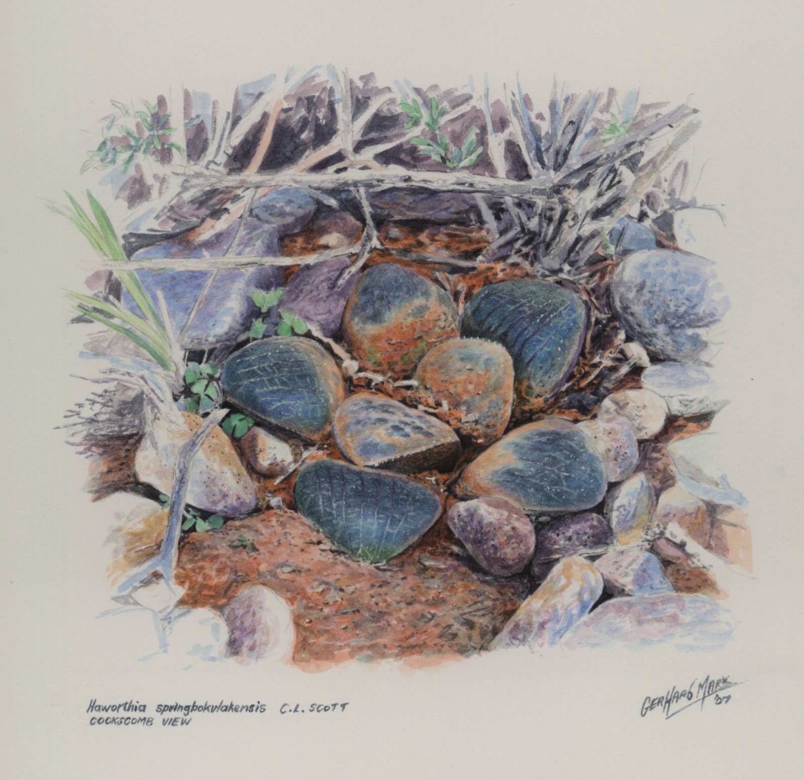 Gerhard Marx: Artwork