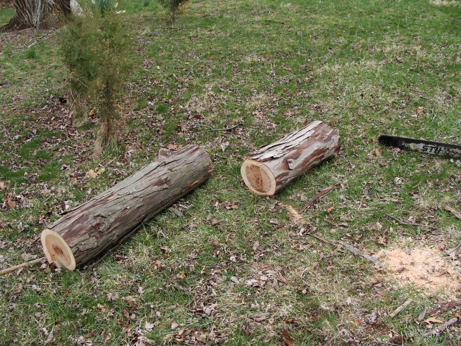 DIY Blacksmithing: Setting the Stump